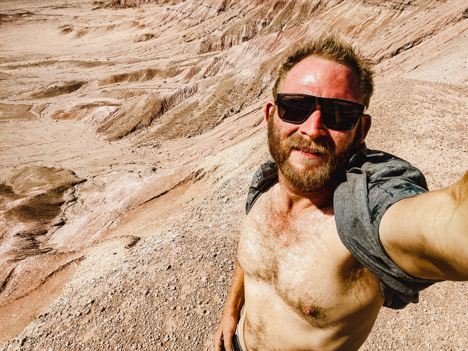 The untold want by life and land ne’er granted, Now voyager sail thou ...